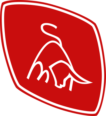 TORO SRL - Company Profile