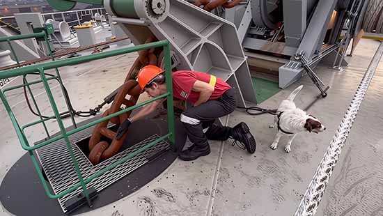 Stowaway Prevention Checklist: Illegal Boarding Management