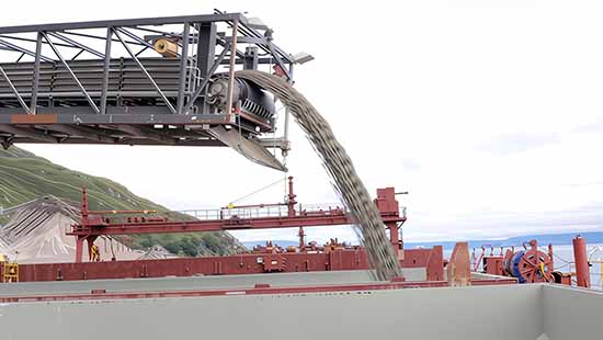 Bulk Carriers Loading Guide: Safe Maritime Cargo Handling