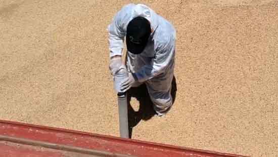 Bulk Carriers Cargo Fumigation Safety, Protocols, Compliance