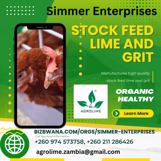 Simmer Enterprises Ltd is a company based in Lusaka, Zambia that ...