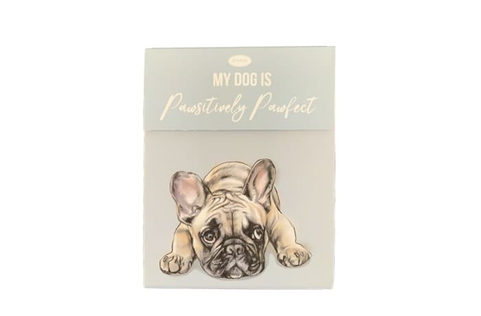 Paws for Thought Magnetic Notepad - My Dog Is Pawsitively Pawfect | Katies International