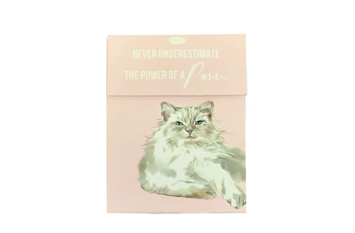 Paws for Thought Magnetic Notepad - Never Underestimate the Power of a Purr | Katies International