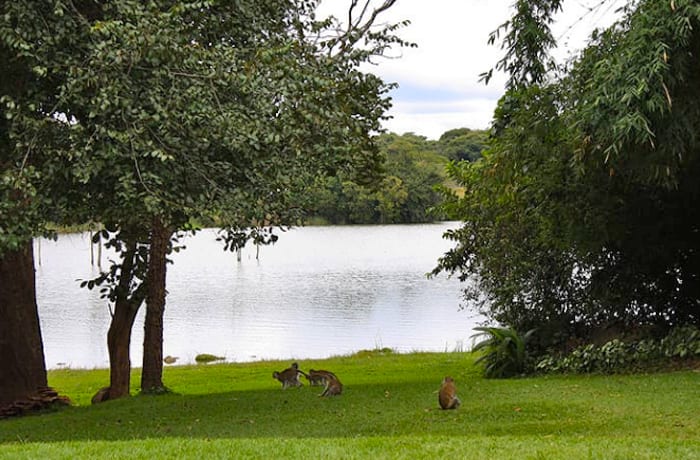 Entry fee | Nsobe Game Camp