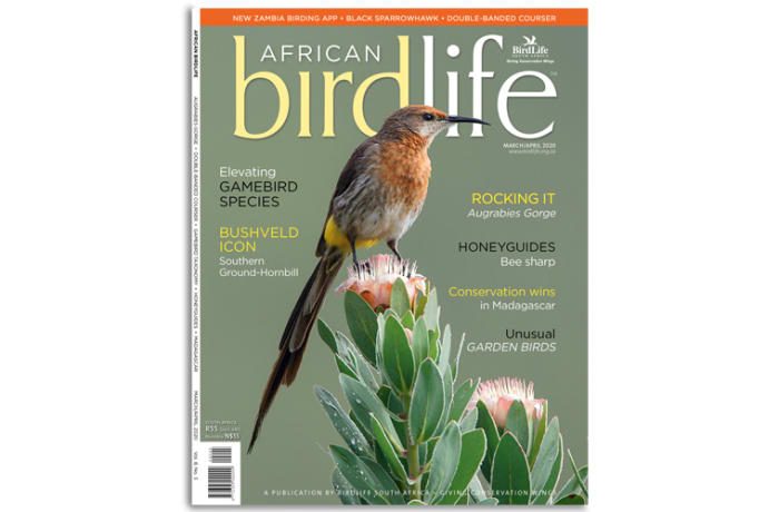African Birdlife | Bookworld