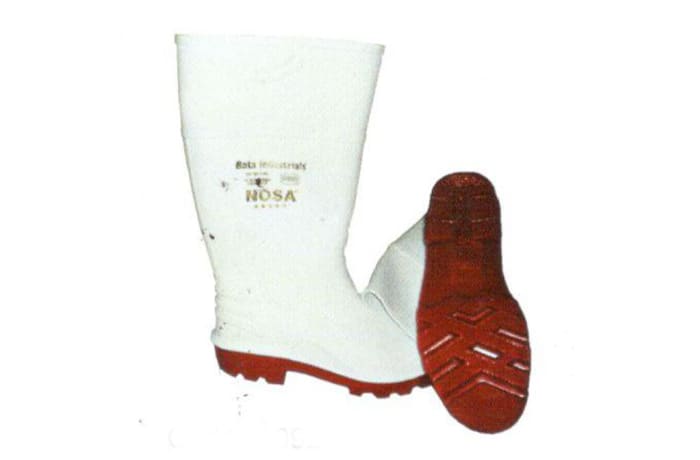 Alsafe V4 Safety Shoe | G Fox Zambia