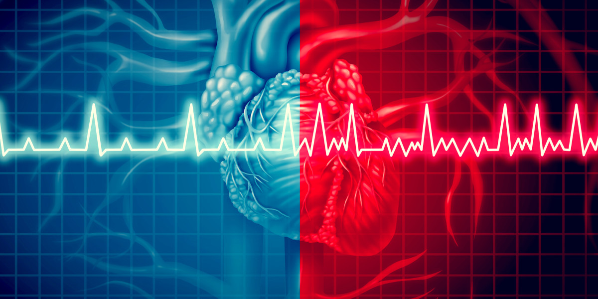 State-of-the-Art in Left Atrial Appendage Closure at Heart Rhythm 2019