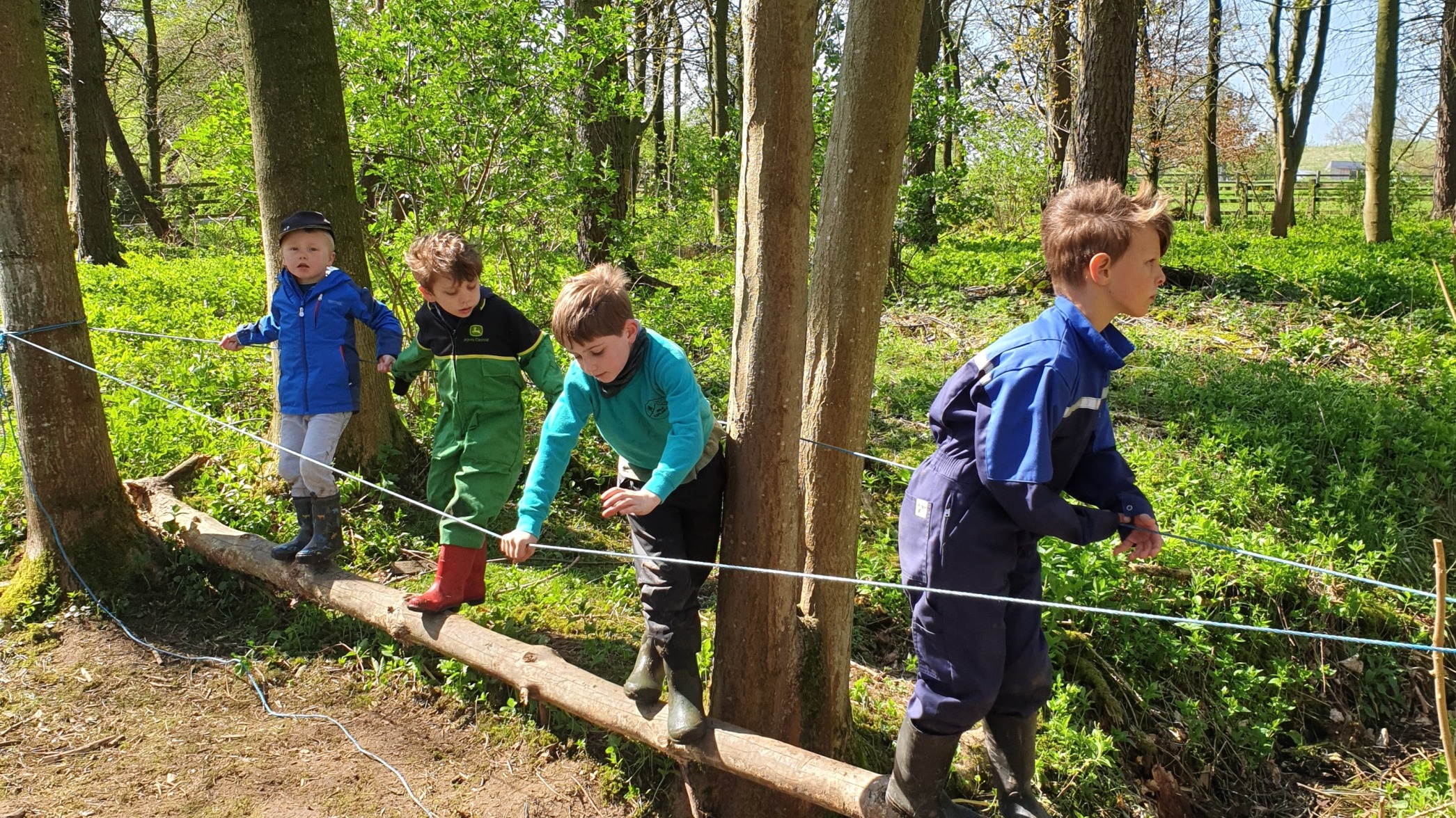 Wild Explorers | Pebble