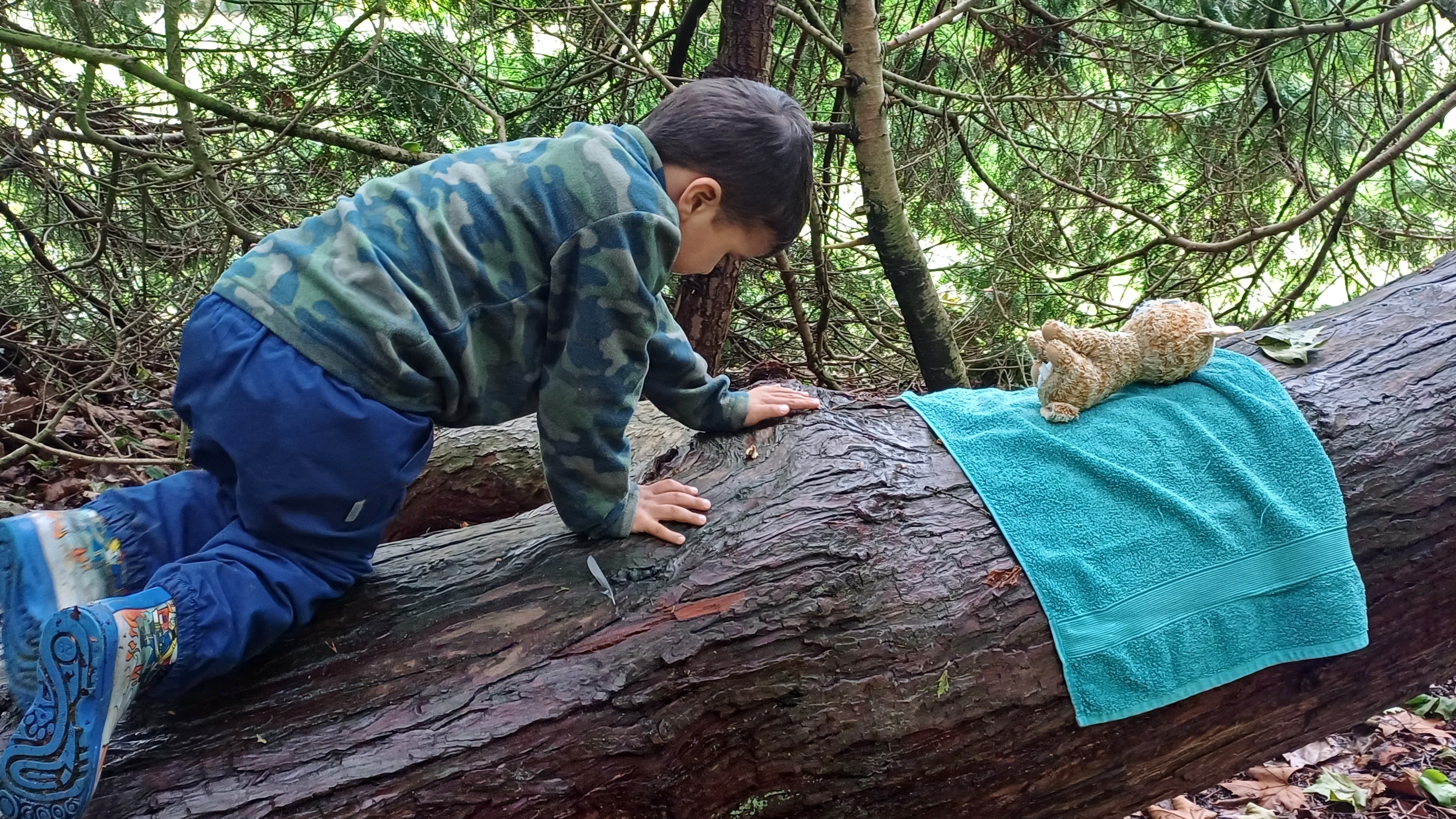 Children Lead the Way | Pebble