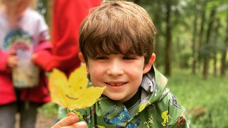 Wild Explorers | Pebble