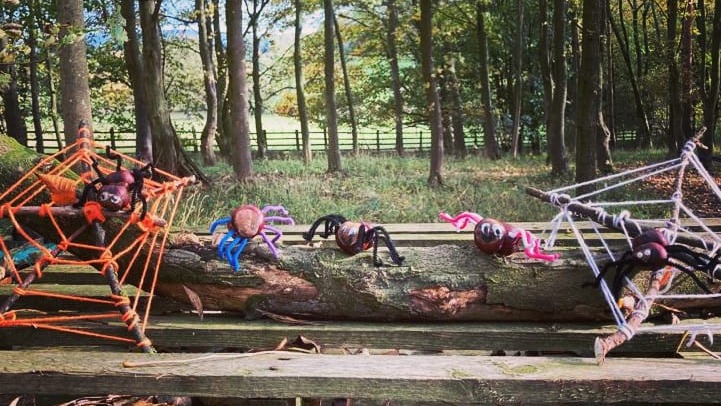 Wild Explorers | Pebble