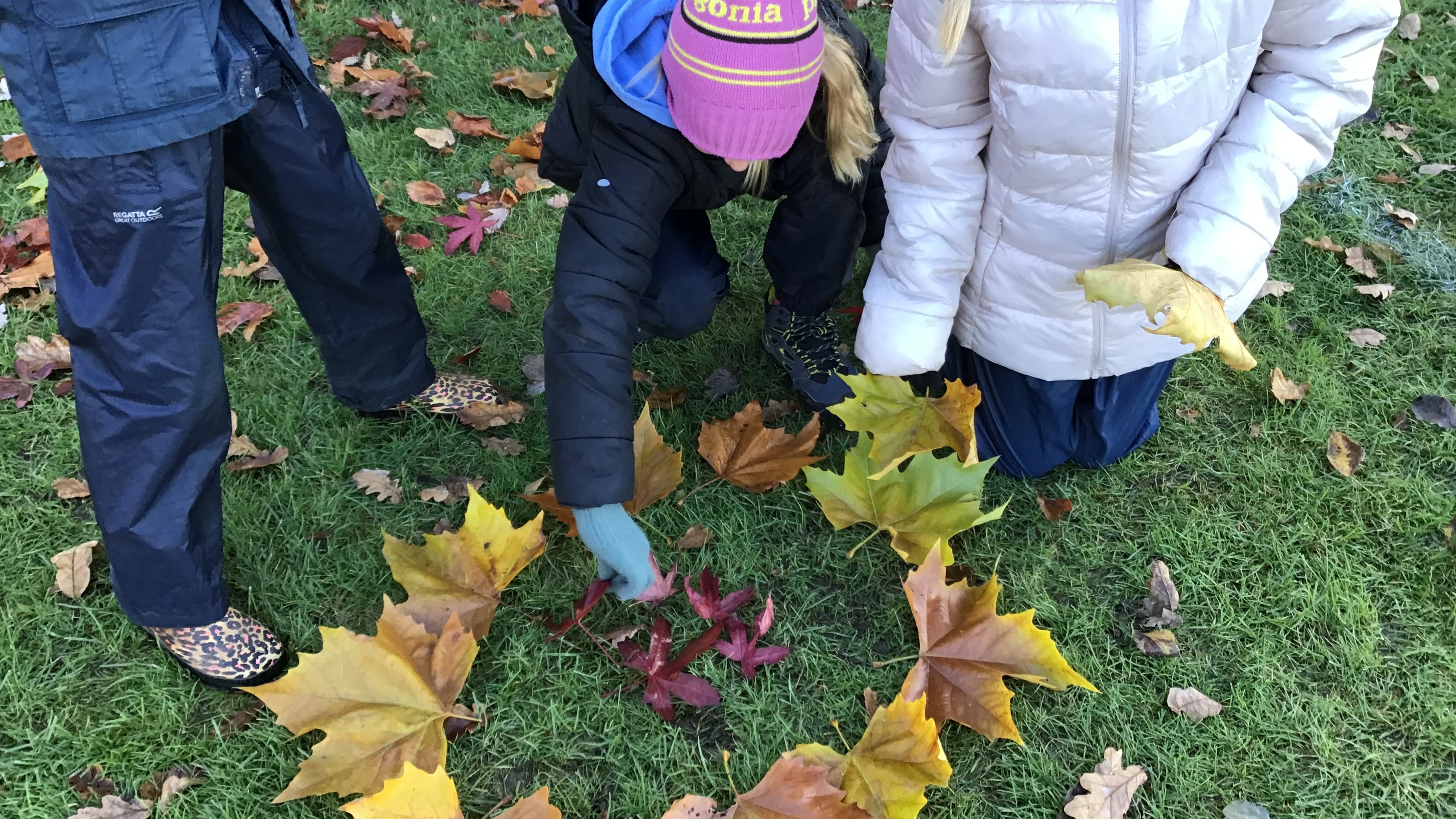 Tockington Manor School | Pebble