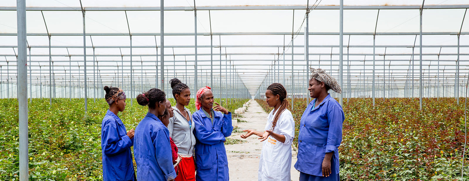 Aynalem's Story - PAI