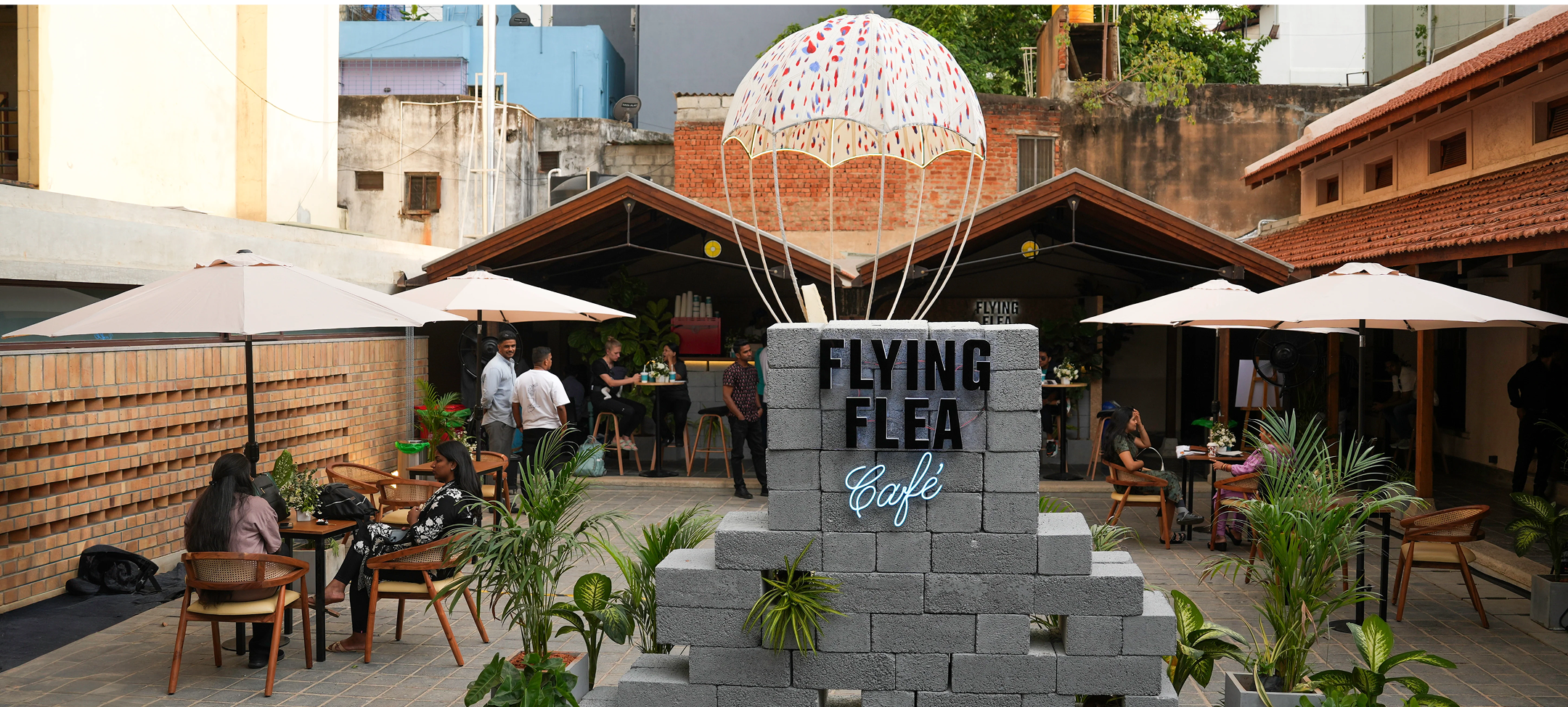 Flying Flea Cafe - Narrative Arc