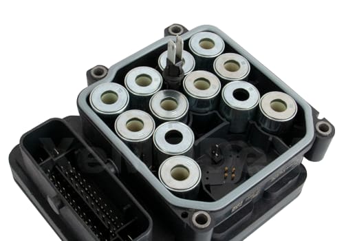 Shop | XeMODeX Inc Canada