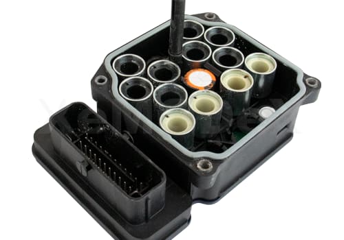 Shop | XeMODeX Inc Canada