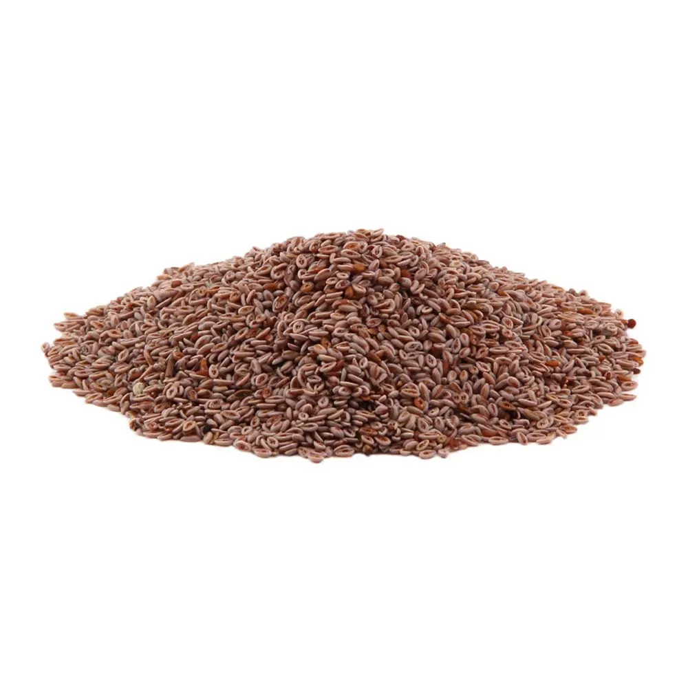Psyllium Seed - Satva Industries