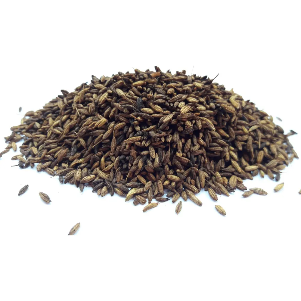 Roasted Cumin Seed - Satva Industries