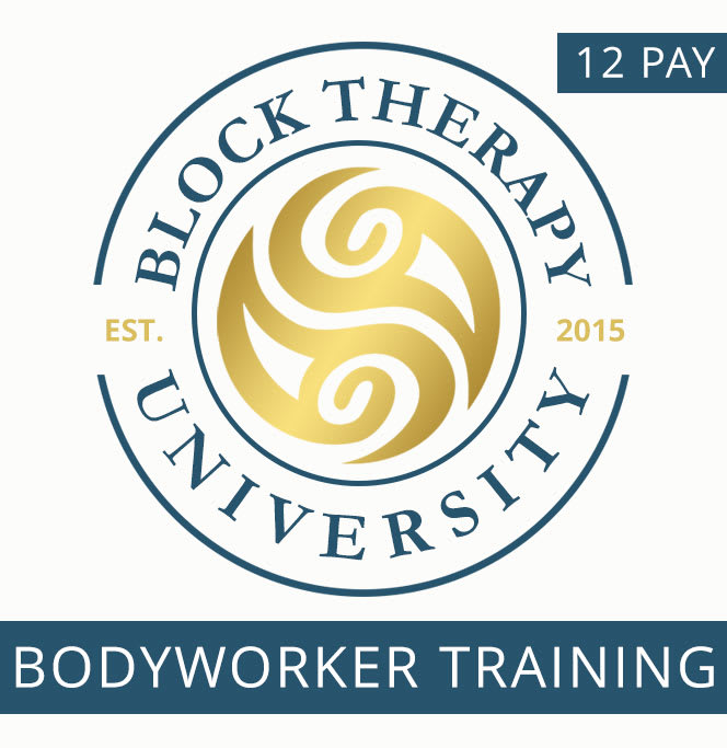 Block Therapy Bodyworker Training - 12 Pay Payment Plan - Block Therapy