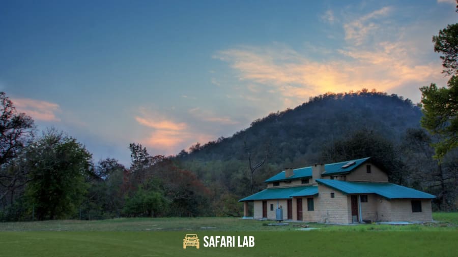 Dhikala: Premier Wildlife Experience in India
