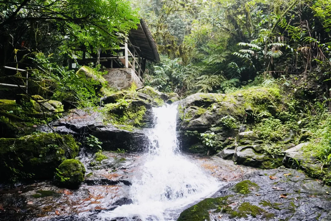 OBUDU MOUNTAIN RESORT SUMMER PACKAGE | Book Cheap Flights around the ...