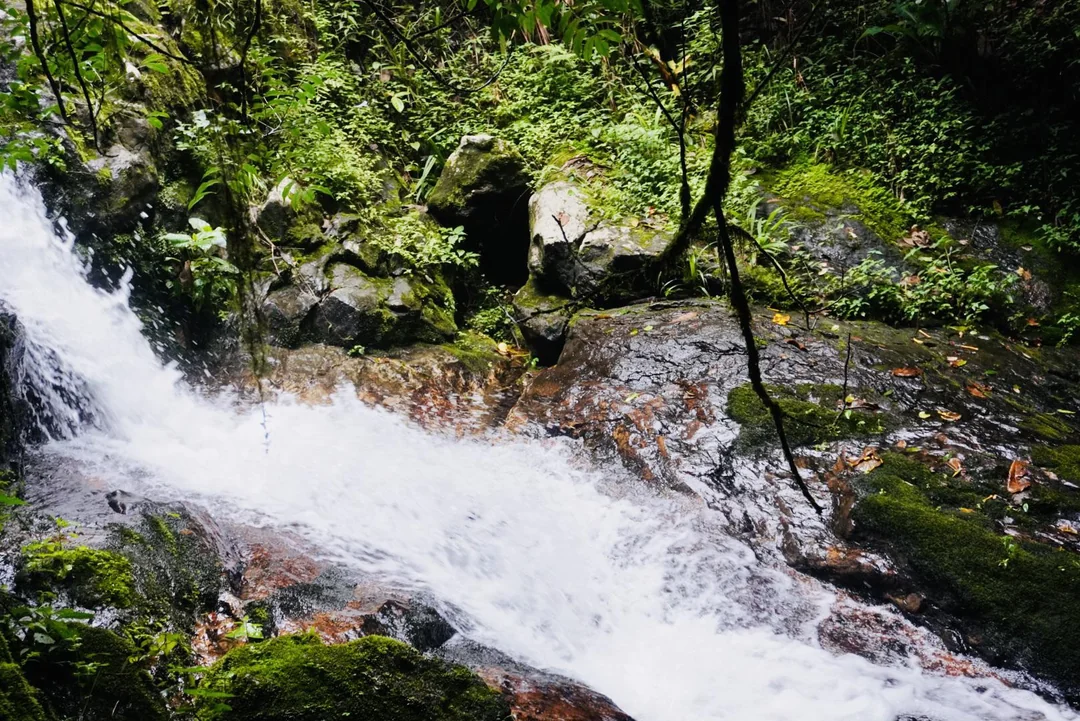 OBUDU MOUNTAIN RESORT SUMMER PACKAGE | Book Cheap Flights around the ...