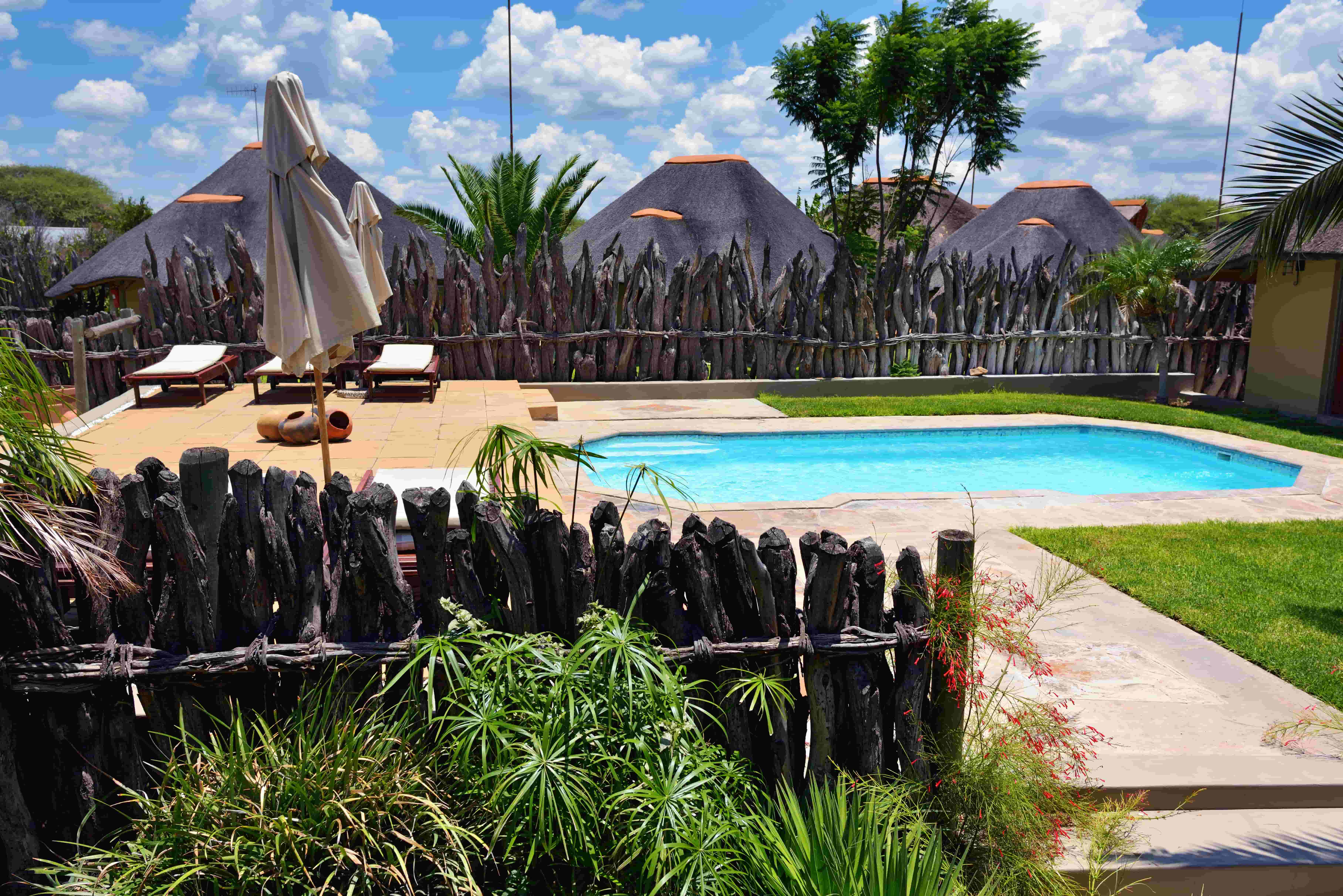 GLEEFUL NAMIBIAN CHRISTMAS PACKAGE | Book Cheap Flights around the ...