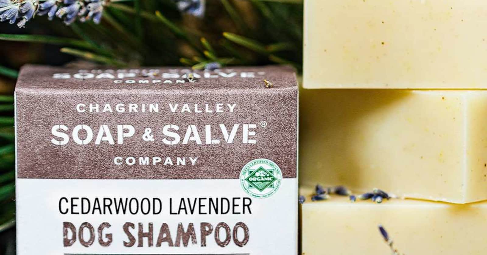Chagrin Valley Dog Shampoo Bar Cedarwood Lavender 100 gram | Zepig.nl