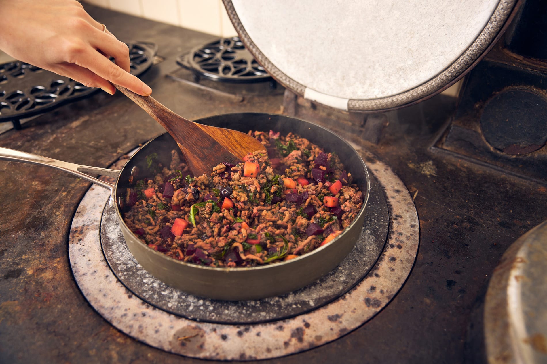 Pork Ragu | Different Dog