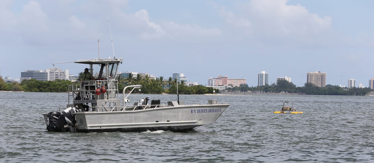 Institute of Environment deploys teams after latest fish kill in ...