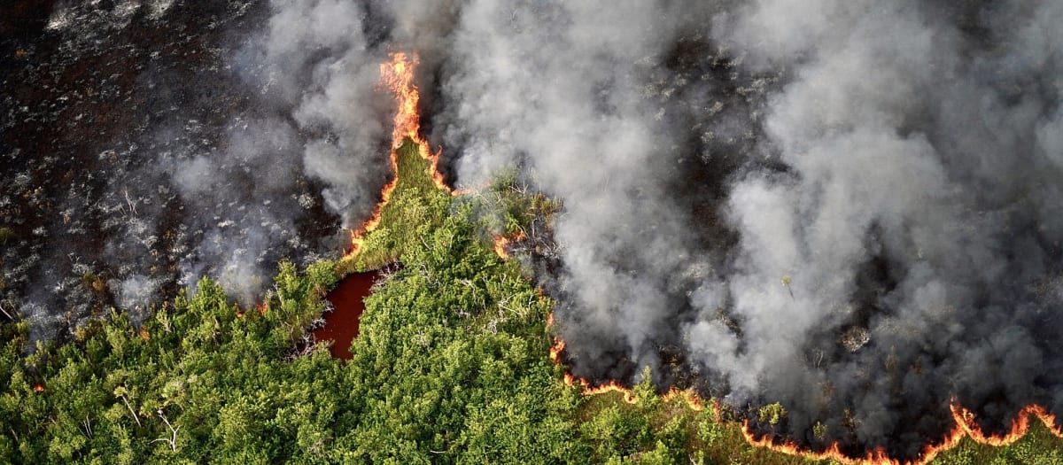 Wildfire experts provide guidance for new research directions | FIU ...