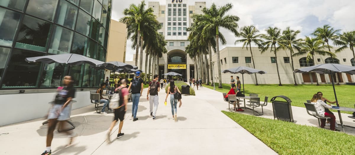 FIU awarded $6M to boost mental health support for children and youth ...