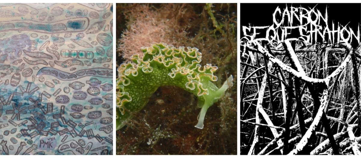 Art inspired by science: student researchers unleash their creative ...