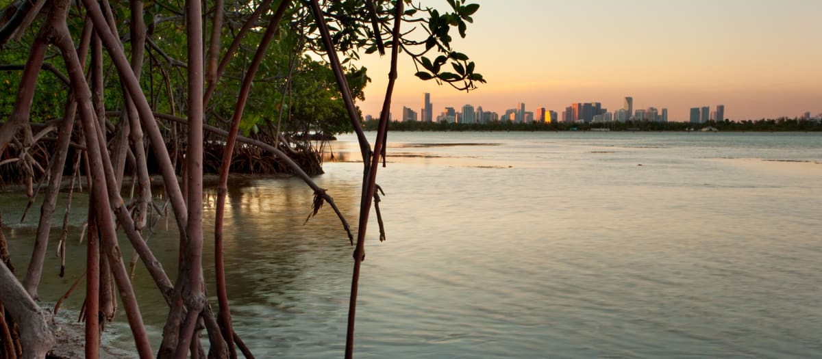 New research initiative to aid in Biscayne Bay preservation | FIU News ...