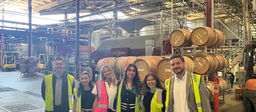 From classroom to cellar: My wine internship in Napa Valley | FIU News ...