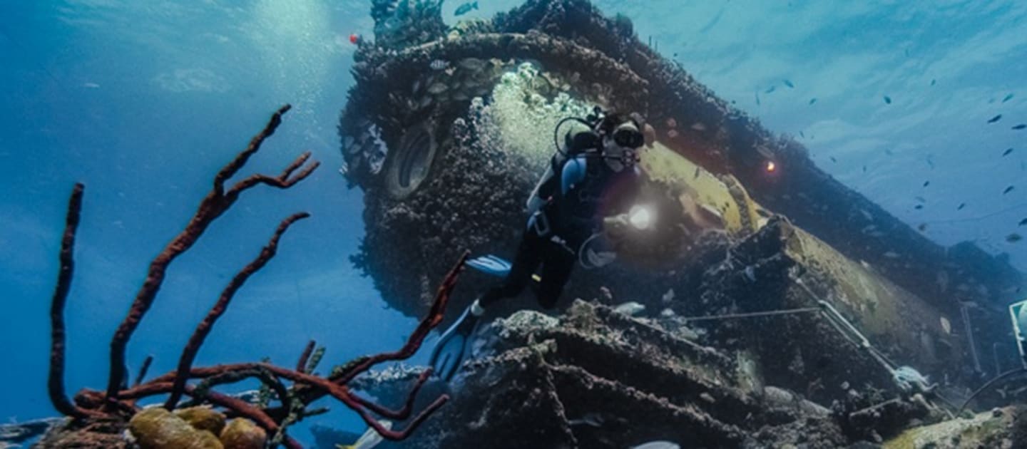 Saving Aquarius | FIU Magazine - Florida International University