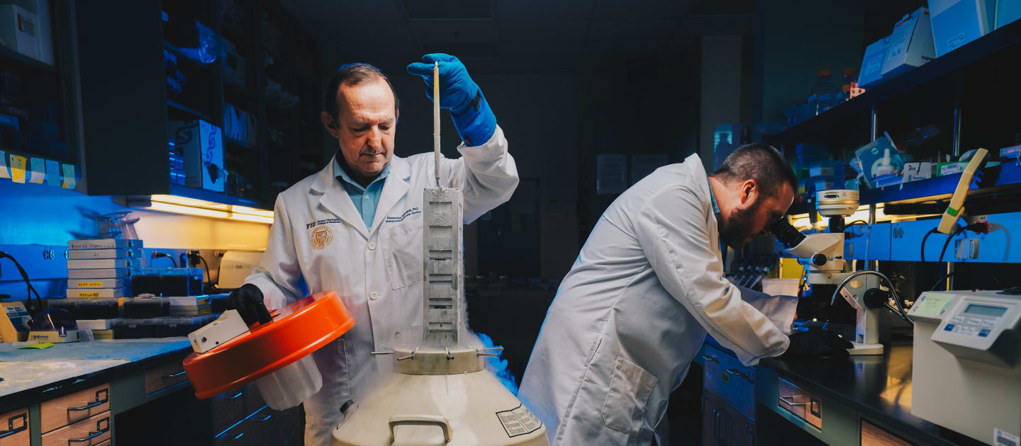 Biomedical advance targets a major contributor to cardiovascular ...