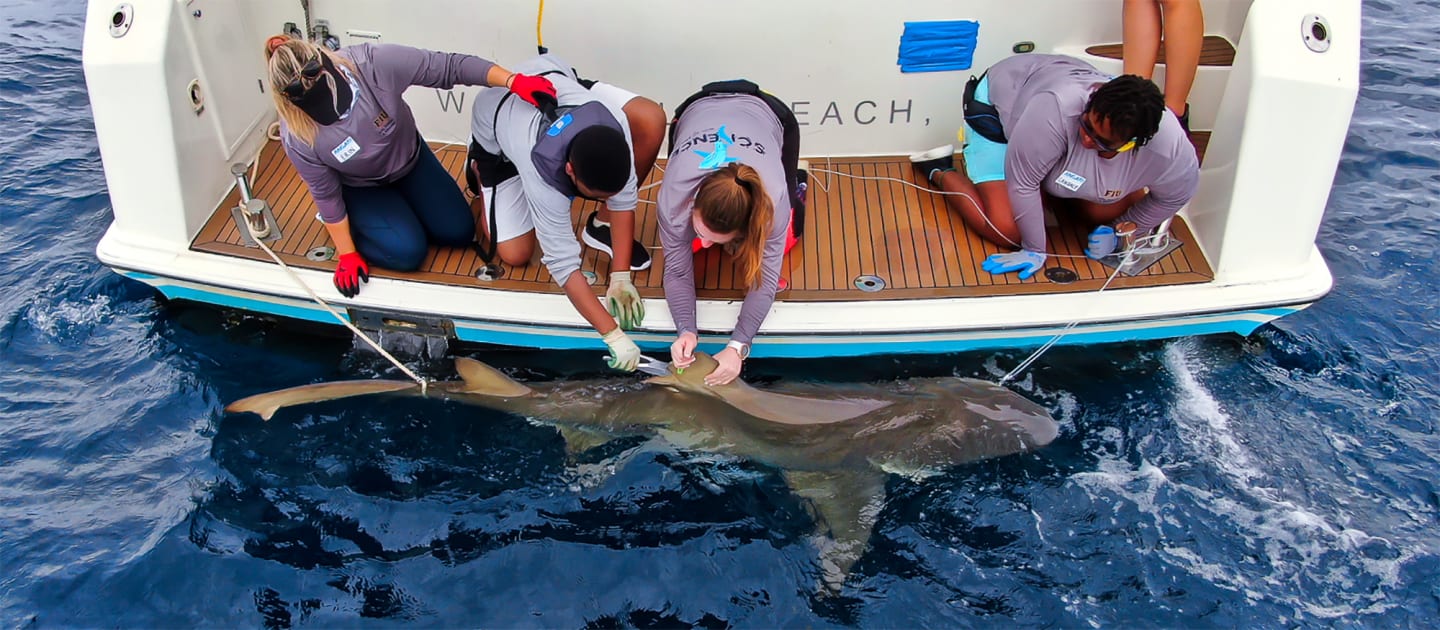 Partnership brings hands-on, at-sea marine science research to middle ...