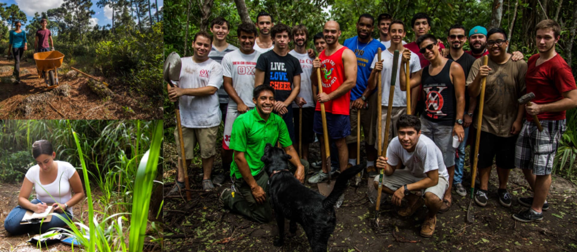 The revival of FIU’s Nature PreserveThe revival of FIU’s Nature ...
