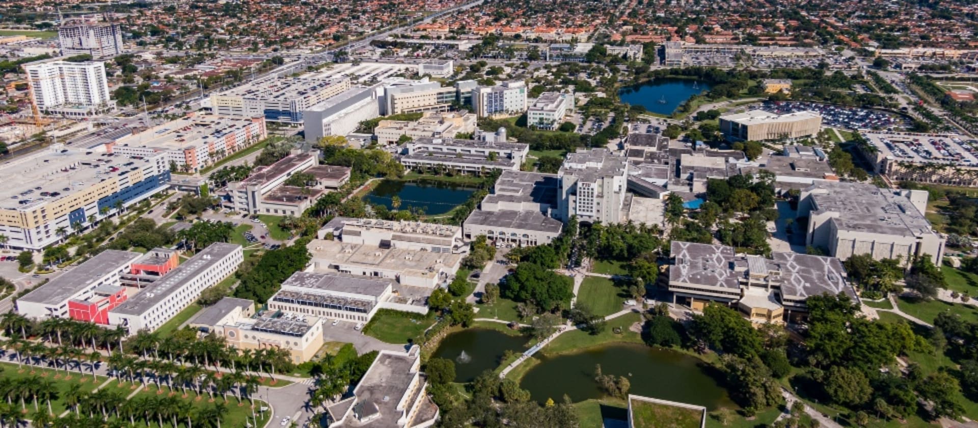 Next Horizon campaign kickoff this Saturday! | FIU News - Florida ...