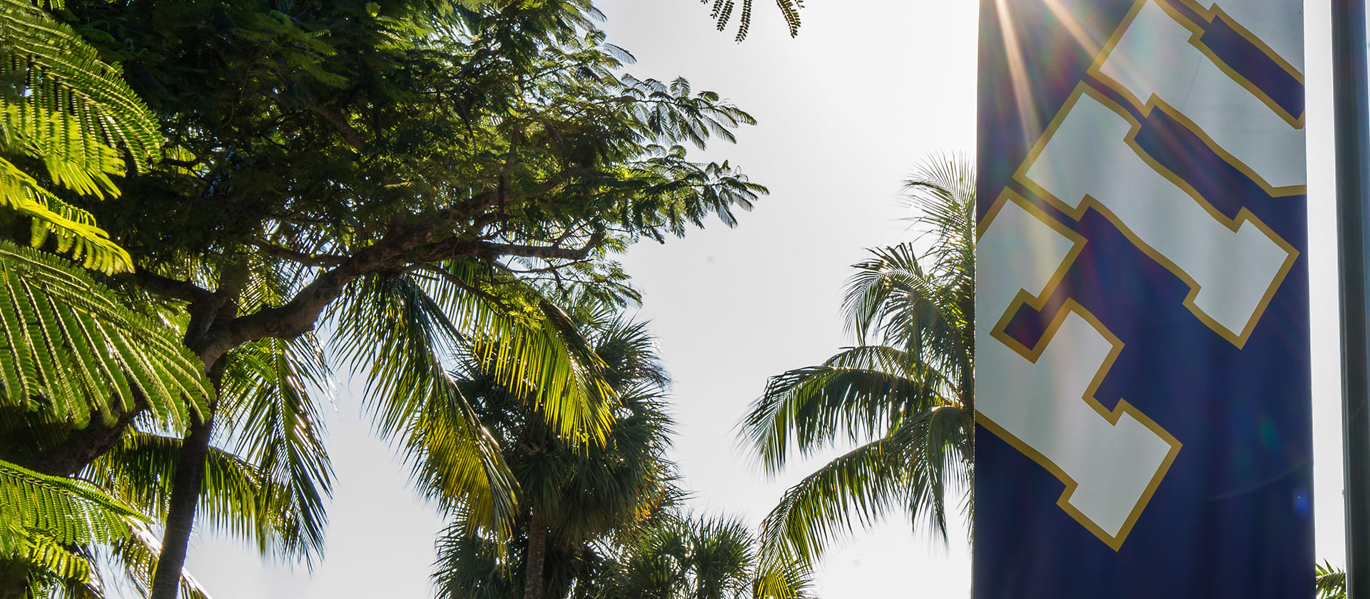 Want to have a great semester? Embrace your Panther network | FIU News ...