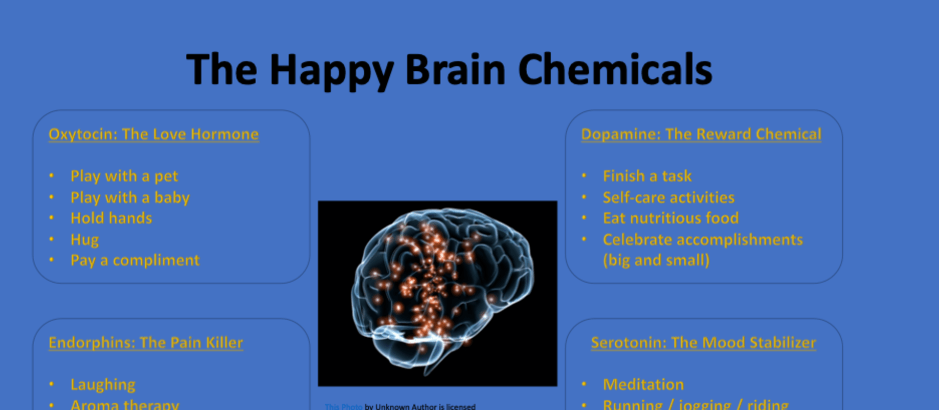 Happy brain chemicals: How they can make you a better professor or ...
