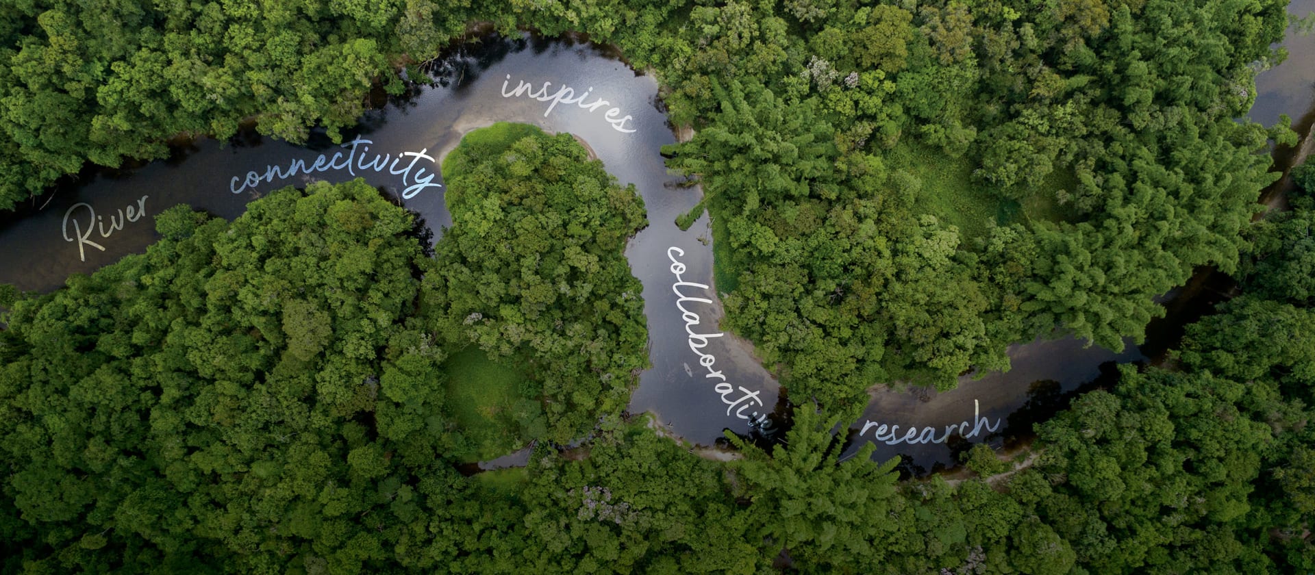 River connectivity inspires collaborative research efforts | FIU News ...