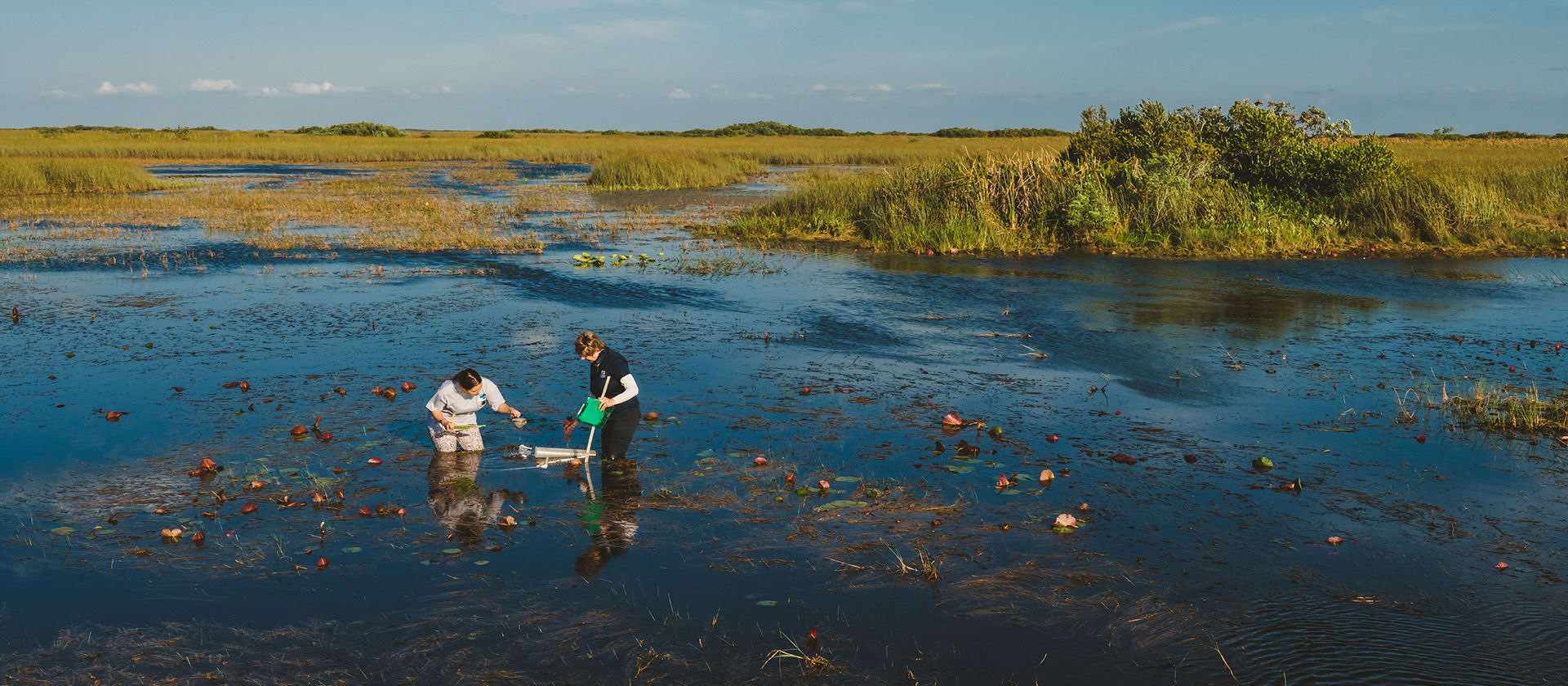 Restoring the Everglades to ensure South Florida’s freshwater supply ...