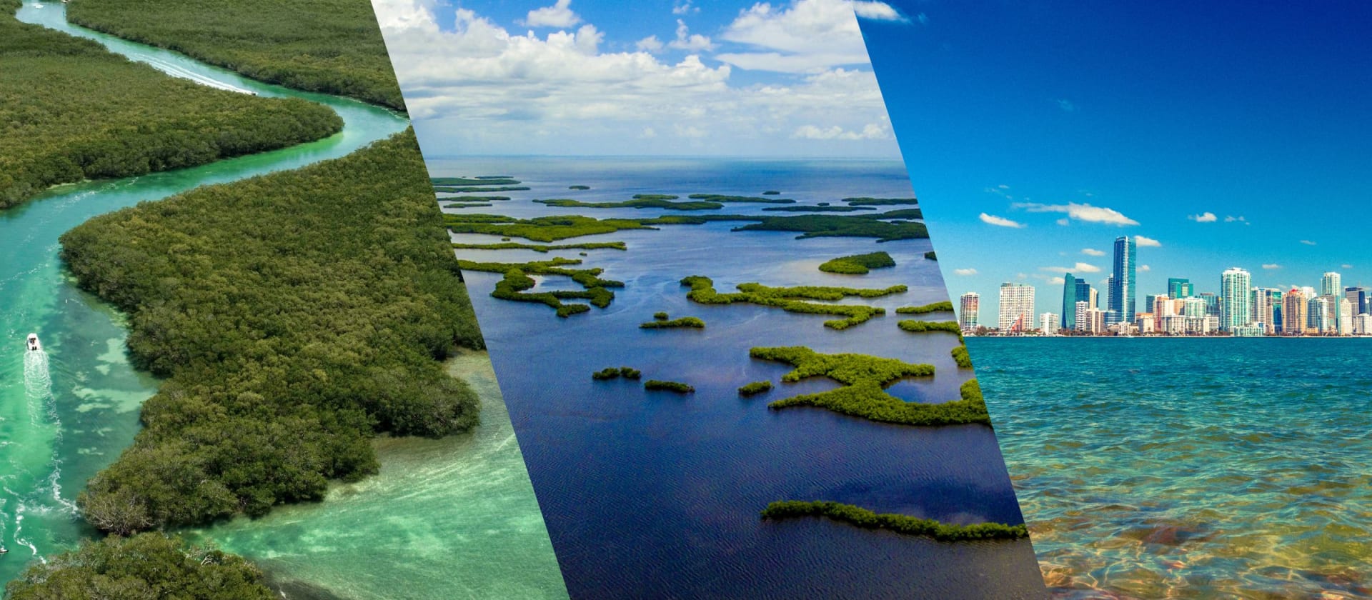 FIU team ups with world-renowned marine conservationist to spotlight ...