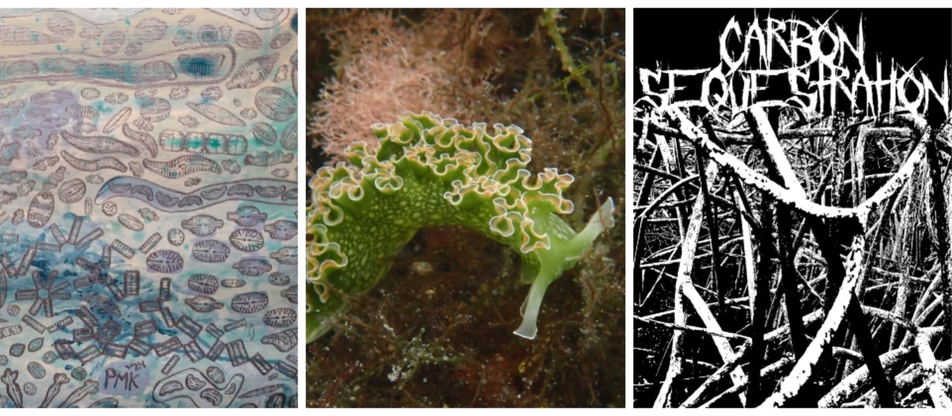 Art inspired by science: student researchers unleash their creative ...