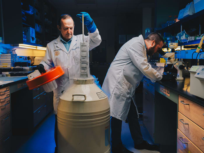 FIU Magazine - Florida International University