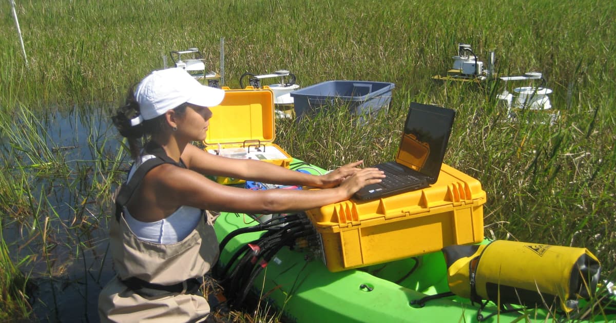 Multi-university effort to investigate Glades water quality | FIU News ...