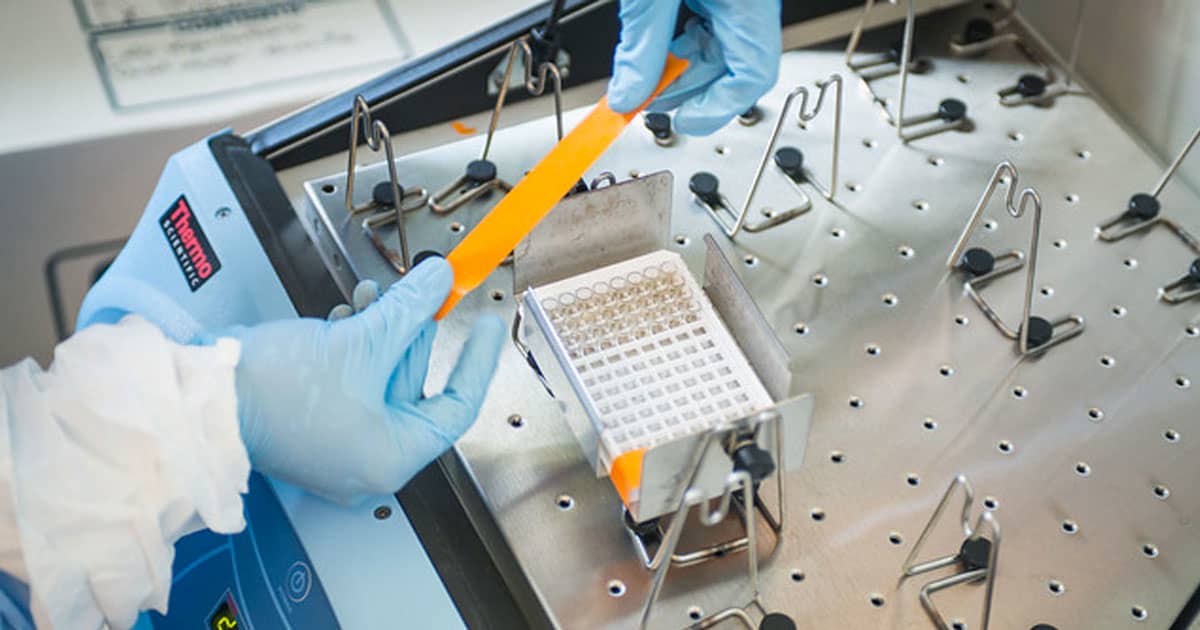 Lab training enhances science literacy for dietetics, nutrition ...