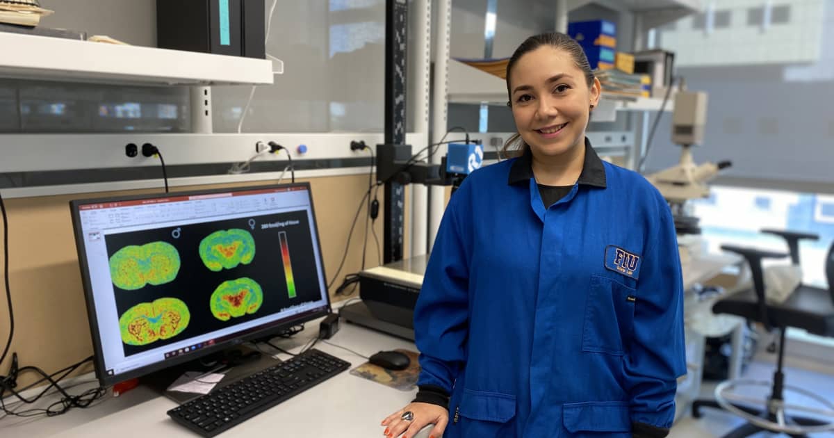 Lead exposure early in life alters brain opioid system, may lead to ...